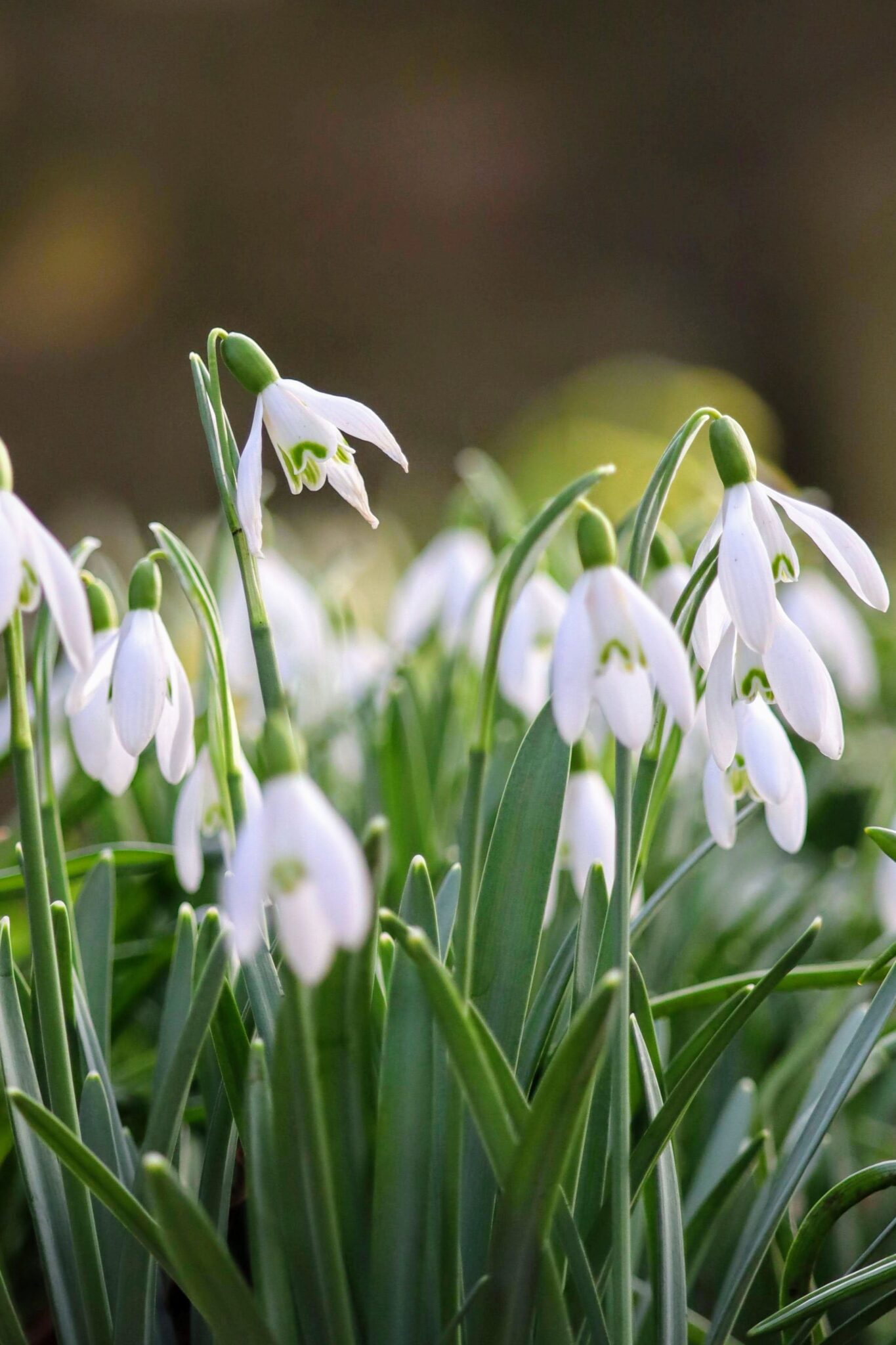 Eating Disorder Treatment in Vermont | Burlington